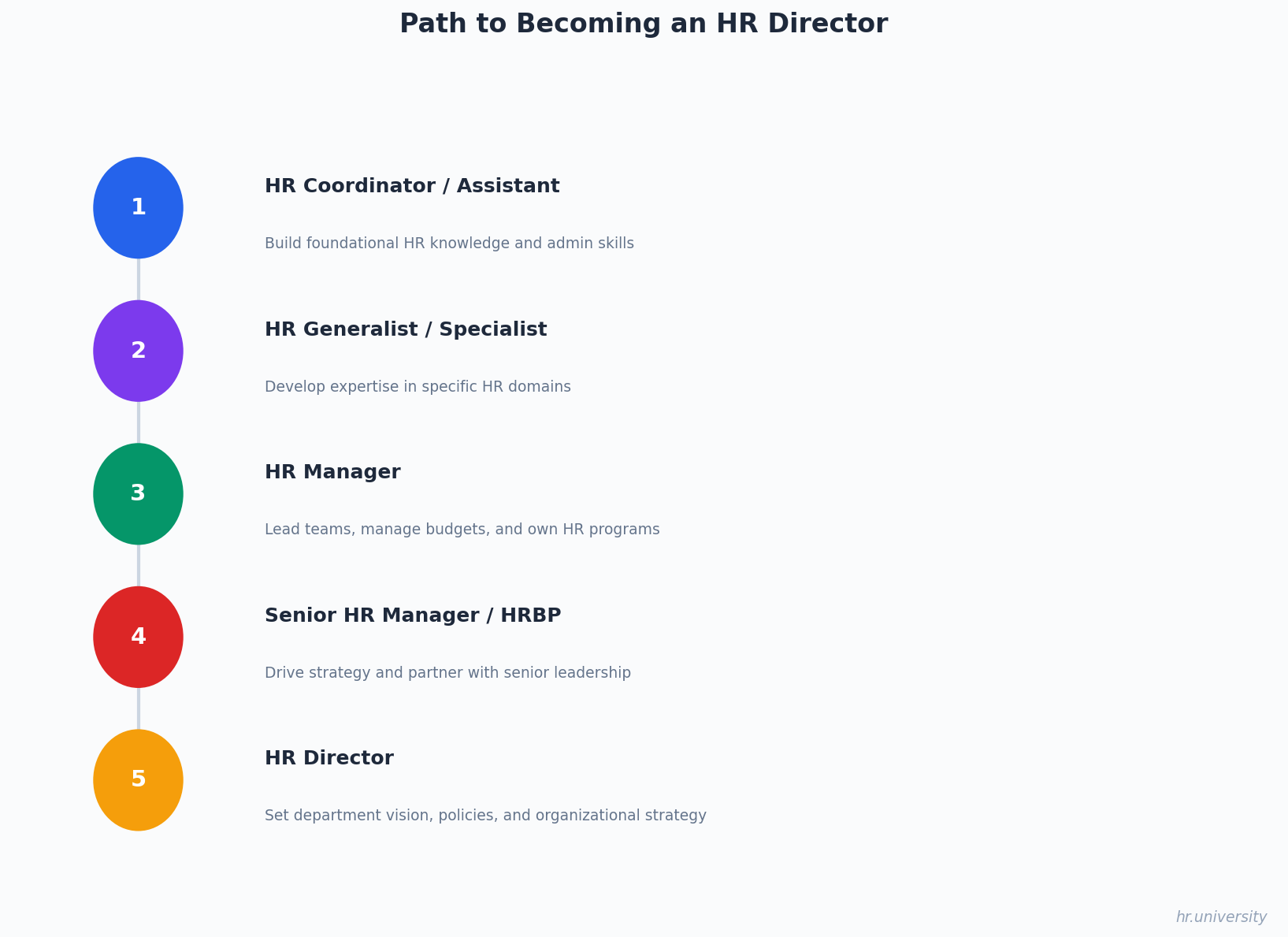 What Does a Human Resources Director Do? - HR University | #1 Human ...
